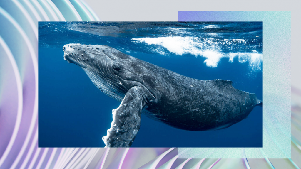 Celebrating 50 Years of Innovation: AI for Good Grants for Washington - Microsoft On the Issues